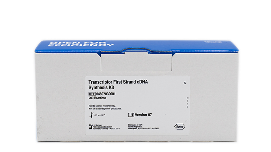 Transcriptor First Strand cDNA Synthesis Kit