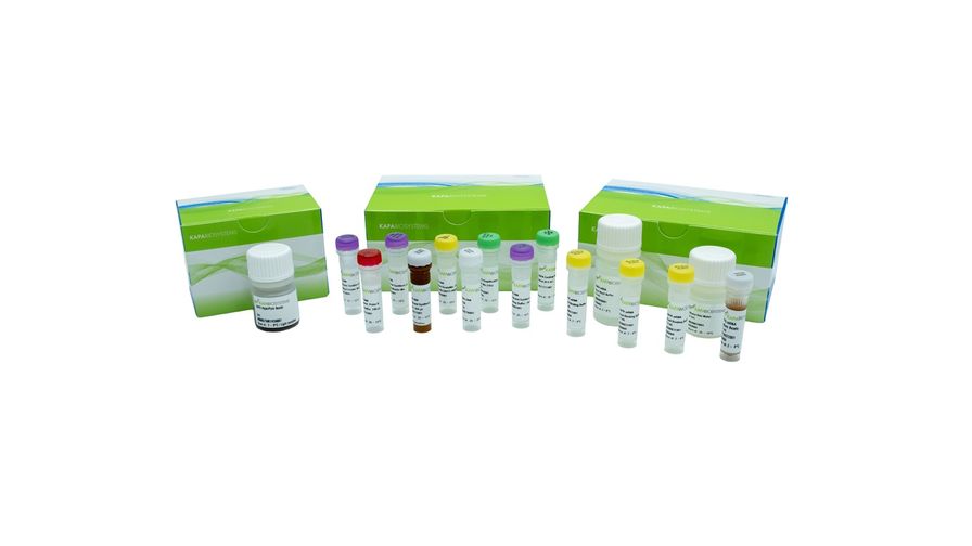 KAPA RNA EvoPrep Kits, RNA library prep for NGS workflows