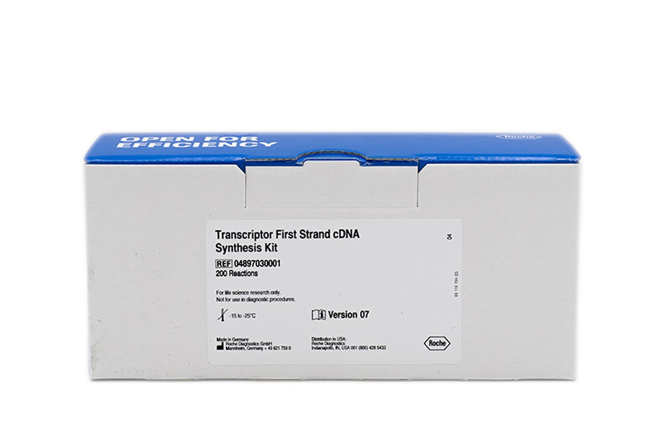 Transcriptor First Strand cDNA Synthesis Kit
