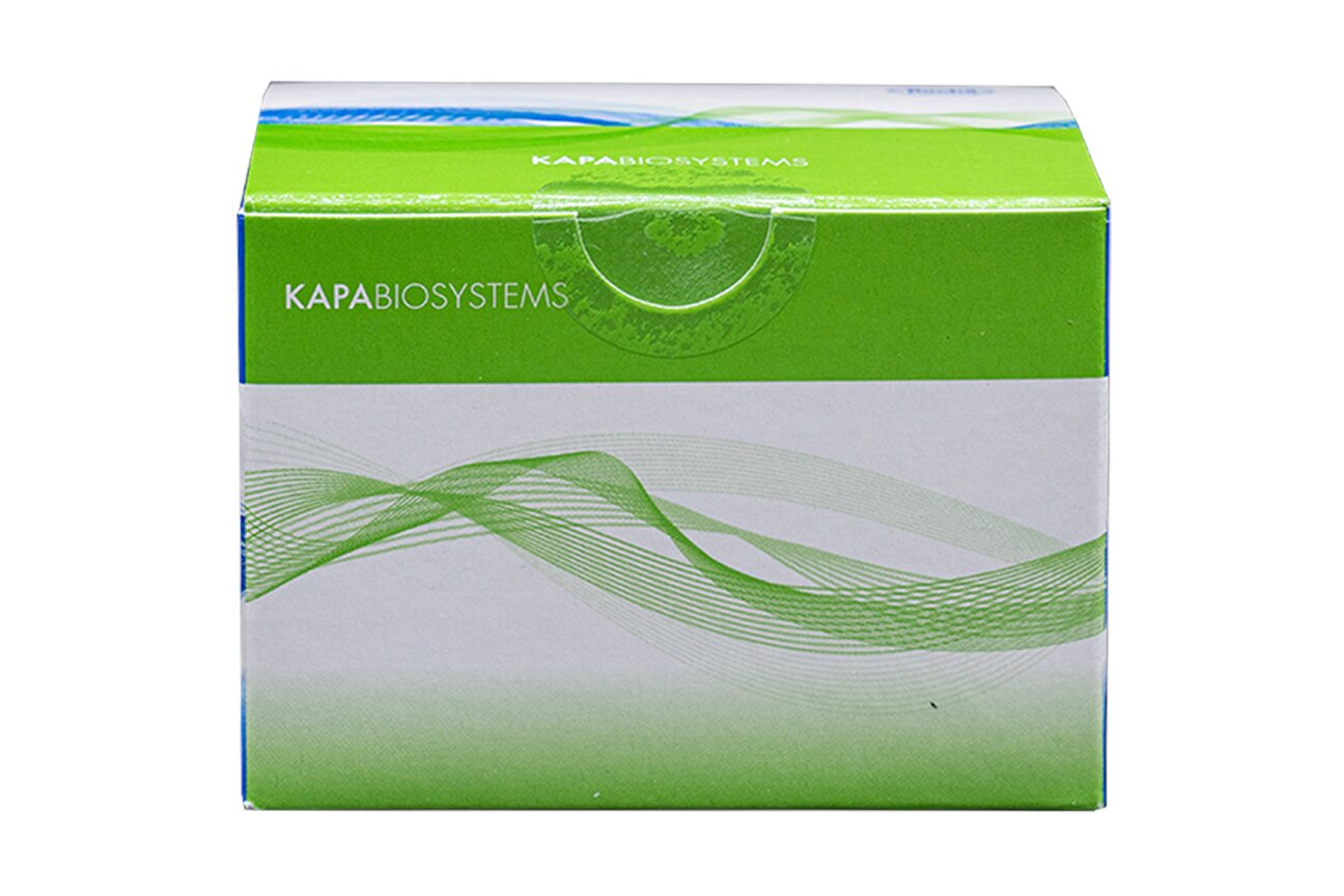 KAPA Library Quantification DNA Control Standard