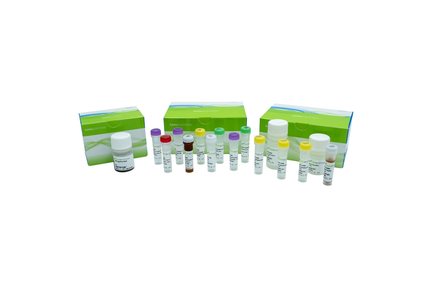 KAPA mRNA EvoPrep Kit, featuring the KAPA EvoT4 DNA Ligase